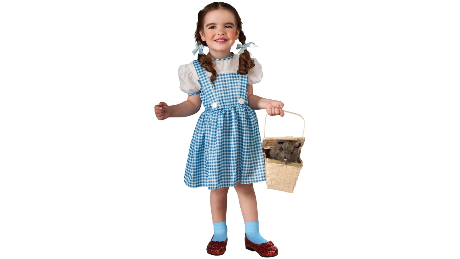 Dorothy Costume