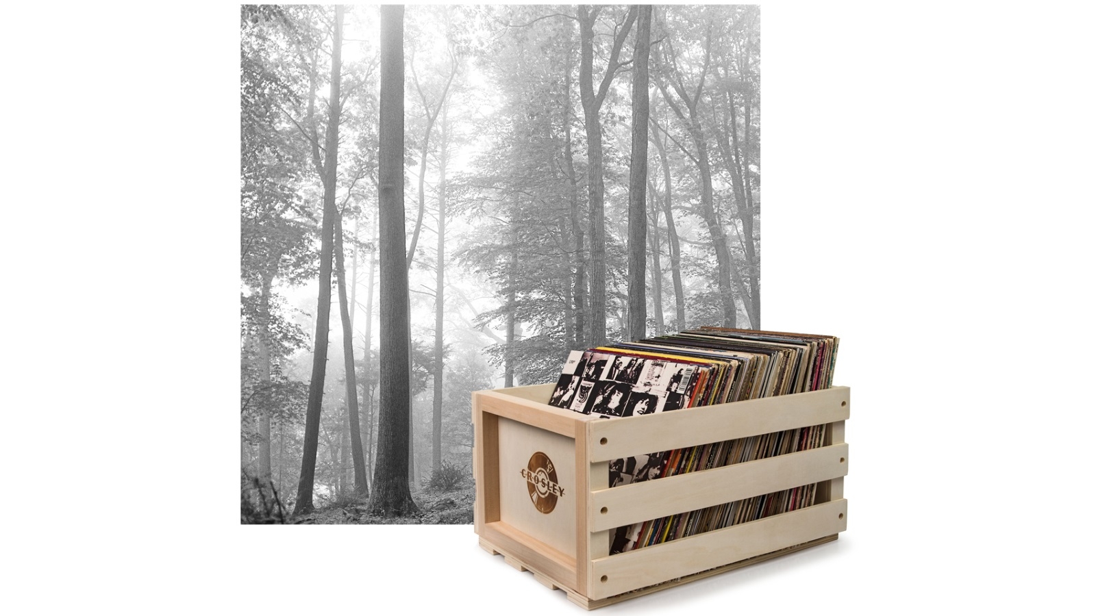 Taylor Swift bundle - munimoro.gob.pe